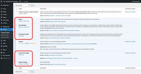 how to enable auto updates on your wordpress website