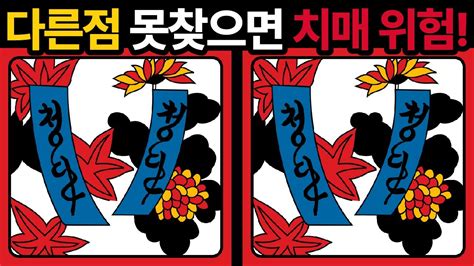 치매 위험🔥꼭 확인하세요 두뇌테스트 틀린그림찾기 Youtube