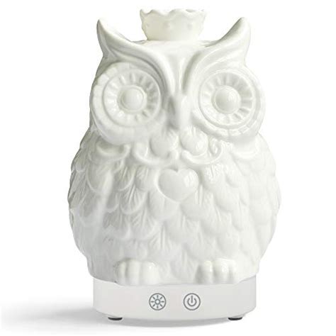 The 29 Best Owl Diffusers Of 2026 Verified Cherry Picks