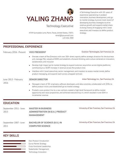Executive Resume Example Executive Resume Examples 2020