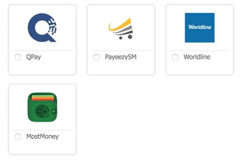 Integrate Any Payment Gateways In Php By Develsites Fiverr