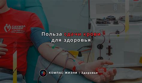 «Организм благодарит»: польза сдачи крови для здоровья — Teletype