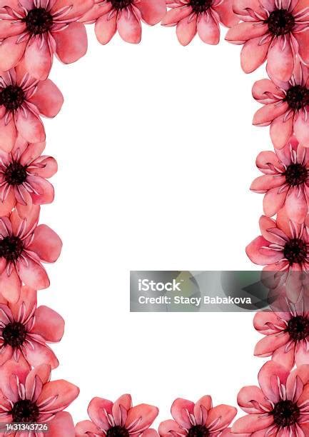 수채화 가을 꽃 프레임 일러스트 레이 션은 흰색 배경에 고립되어 있습니다 핑크 달리아 가을 꽃 테두리 결혼식 초대장 인사말 추수 감사절 카드에 적합합니다 0명에 대한 스톡