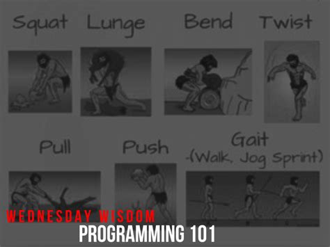 Wednesday Wisdom Programming 101 Functional Training Institute