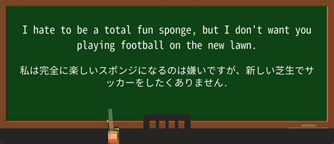 【英単語】fun Spongeを徹底解説！意味、使い方、例文、読み方 おもしろい英文法