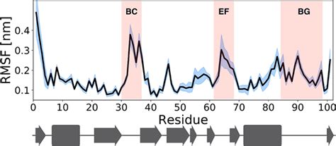 N Sh2 Domain Conformational Variability In The Md Simulations