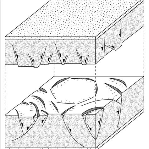 Schematic Diagram Of A Polygonal Fault System Comprised Of A Large