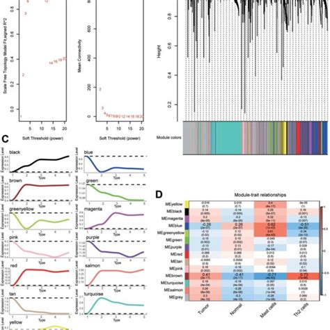 The Weighted Gene Coexpression Network Analysis Wgcna Network For