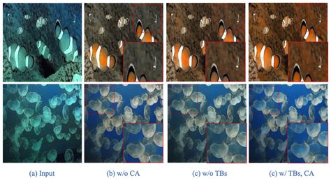 A Hybrid Attention Network With Convolutional Neural Network And Transformer For Underwater