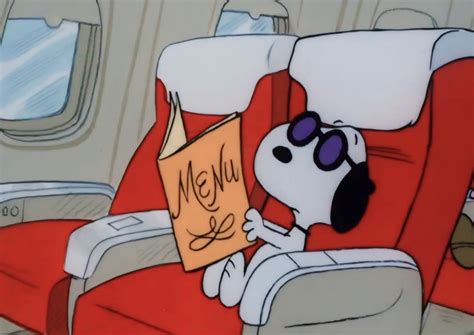 Meme Boston Free Snoopy Snoopy On A Plane Snoopy Cartoon