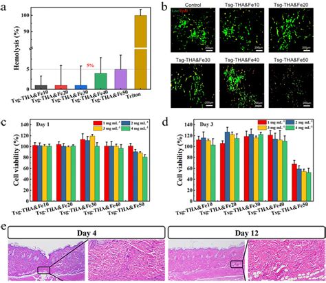 A Physicochemical Double Cross Linked Gelatin Hydrogel With Enhanced Antibacterial And Anti