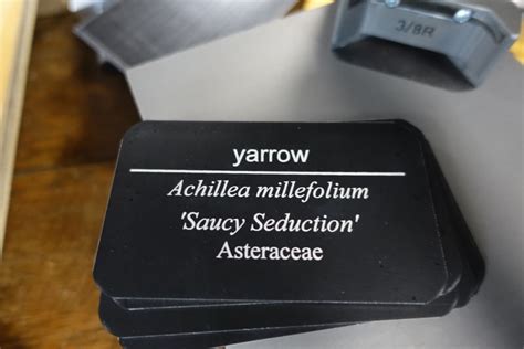 Ingenuity Leads To Revived Labeling Program