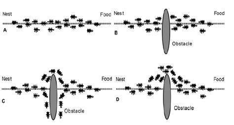 A Real Ants Follow A Path Between The Nest And A Food Source B An