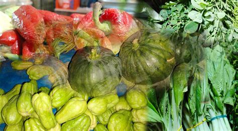 Local Producers Sa Maylan Nagalaum Nga Magatin Ad Ang Ila Negosyo Kun Laye Na Ang Nir