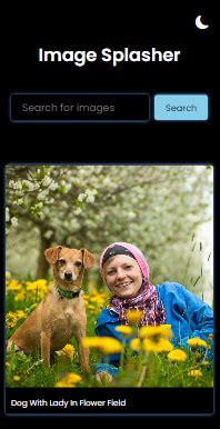 GitHub NikhilCode ImgSplash Simple Yet Powerful Image Generator Using Unsplash API This