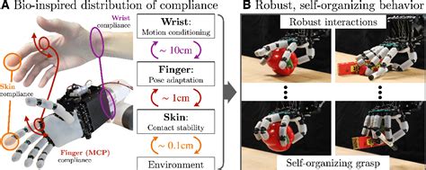 figure 1 from robust anthropomorphic robotic manipulation through