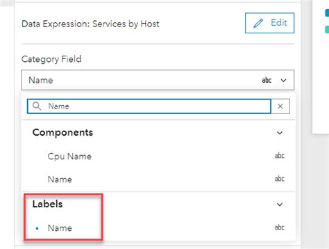 Count Of Services Per Arcgis Server Host Esri Community