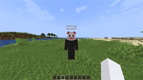 How To Create Npcs In Your Minecraft Server Xgamingserver