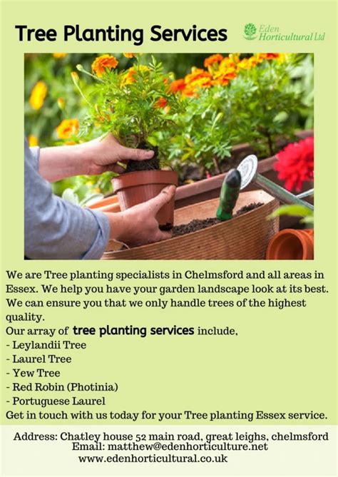 PPT Tree Planting PowerPoint Presentation Free Download ID