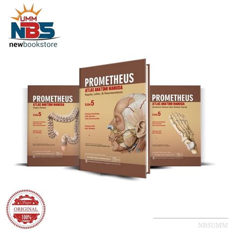 Jual Prometheus Atlas Anatomi Manusia Kepala Leher And Neuroanatomi Edisi 5 Michael Schunke