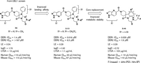 Dna Encoded Library Derived Ddr1 Inhibitor Prevents Fibrosis And Renal Dna Encoded Library Derived Ddr1 Inhibitor Prevents Fibrosis And Renal