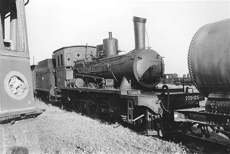 Tiger Steam