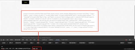 【攻防世界】catcat New Csdn博客