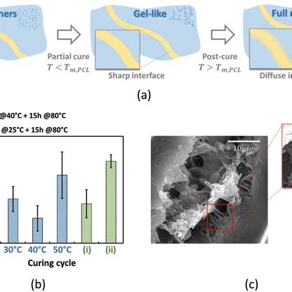 A Schematic Representation Of The Potential Of Coreshell Nanofibers Download Scientific