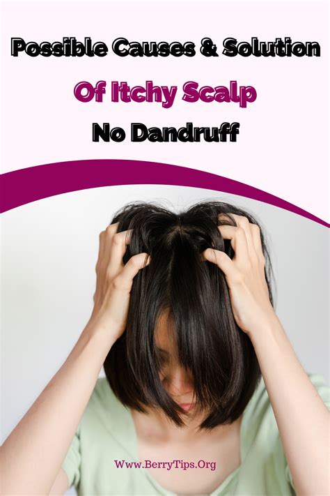 Itchy Scalp No Dandruff Causes And Solutions By Berrytips Org Feb 2024 Medium