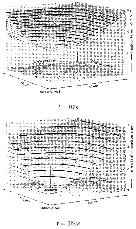 Open Access Temporal Phase Unwrapping Algorithm For Dynamic