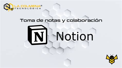 curso de notion la colmena tecnológica