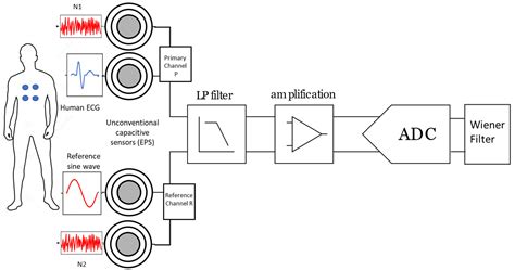 Sensors Free Full Text An Experimental Method For Bio Signal