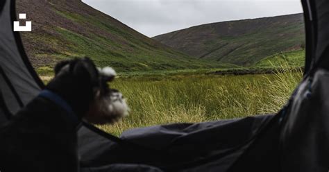 검은 색과 빨간색 직물에 검은 색과 흰색 짧은 코팅 개 사진 Unsplash의 무료 캠핑 이미지