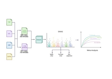 Uncovering The Role Of Sex In Dna Methylation And The Discovery Of Schizophrenia The Medgen
