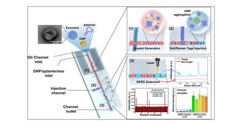 Sers Based Droplet Microfluidic Platform For Sensitive And High