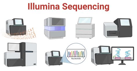 Illumina Sequencing Principle Steps Uses And Diagram Bioteck Ink