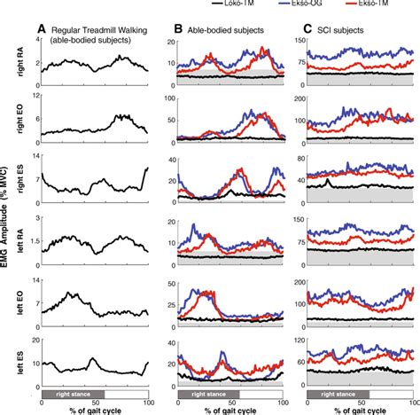 Trunk Muscle Activation Patterns During Robotic Assisted Walking In Download Scientific Diagram