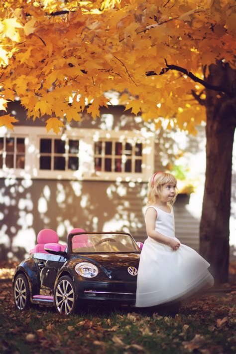 Laurel Sexton Photography