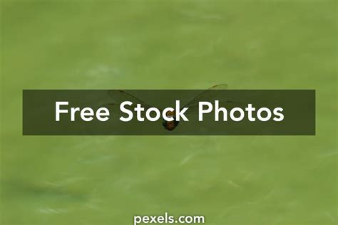 Linkedin Background Flight Photos Download The Best Free Linkedin