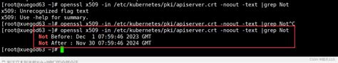 使用 kubeadm 部署 kubernetes 集群（三）kubeadm 初始化 k8s 证书过期解决方案 阿里云开发者社区