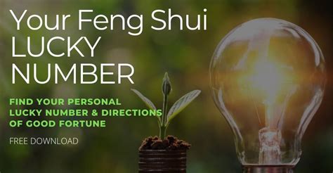 The Red Lotus Letter Feng Shui Kua Calculator Red Lotus Letter