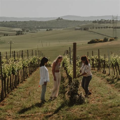 Cantina Chiana Vinciarelli 2025 All You Need To Know Before You Go