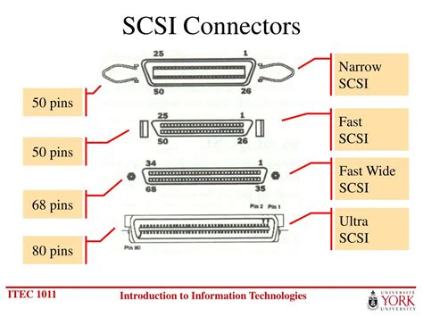Scsi Bus Rescan At Mackenzie Balfour Blog