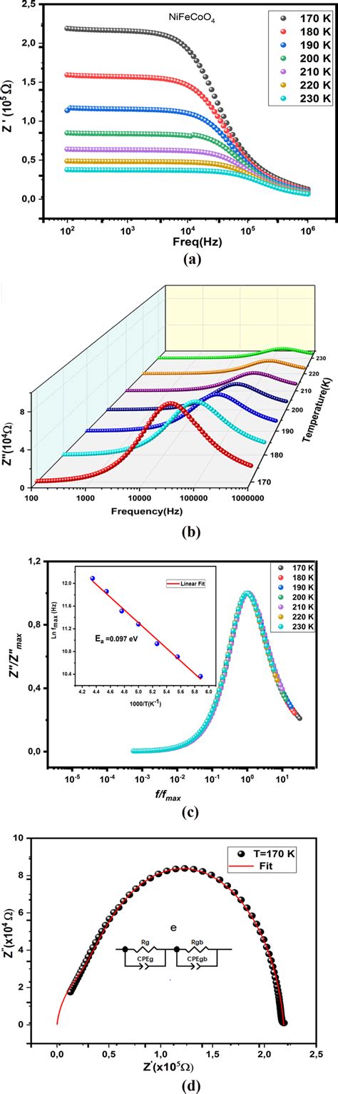 Variations Of Log σact And Log Fmax As A Function Of 1000 T For Download Scientific