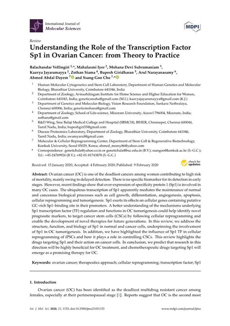 Understanding The Role Of The Transcription Factor Sp1 In Ovarian Cancer From Theory To