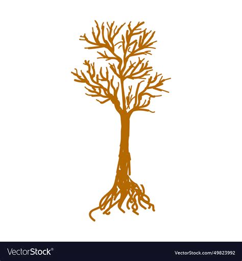 A Tree Without Leaves With Roots Royalty Free Vector Image
