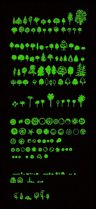 Trees DWG Plan For AutoCAD Designs CAD
