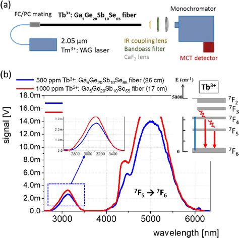 Scheme Showing The Tb 3 Recorded Transitions Download Scientific Diagram