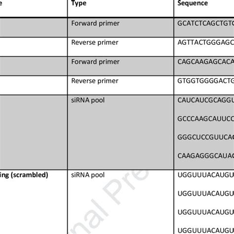 Primer And Small Interfering Rna Sirna Sequences Download Scientific Diagram