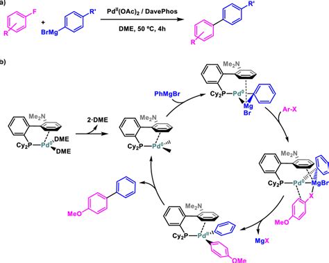 A Scheme Of The Pd Catalyzed Kumada − Tamao − Corriu Ktc